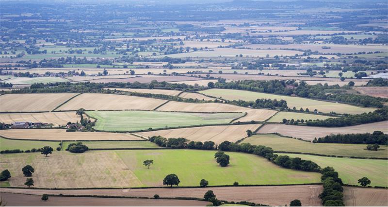 NFU advice and guidance on BPS payments in 2023 – NFUonline
